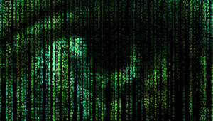 What is Green Personality Type Erikson? - 4 Color Personality Test